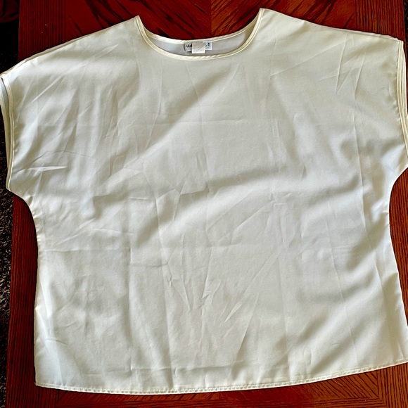 Vicki Wayne | Tops | Vicki Wayne Ivory Chiffon Blouse | Poshmark